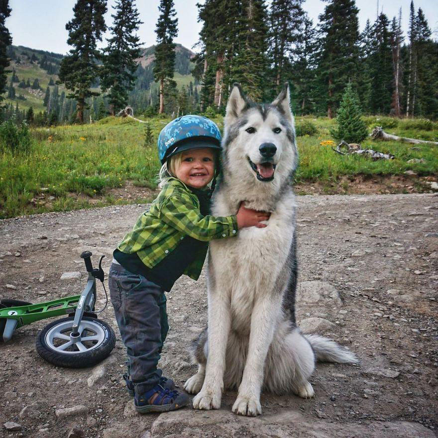 Man Takes His Wolfdog On Epic Adventures Because He Hates to See Dogs ...