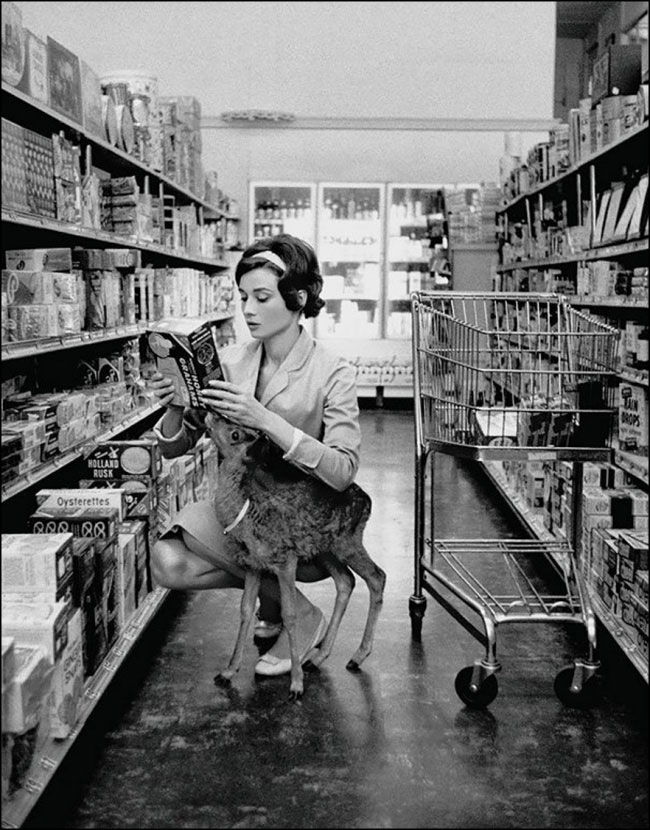 20 Remarkably Unique Historical Photos You’ve Probably Never Seen ...