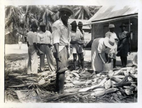 70+ Old Photos That Captured Life in Trinidad and Tobago During WWII ...